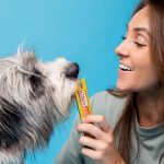 Learn About Us | Inaba