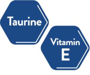 Premium Cat and Dog Treats | Inaba Foods